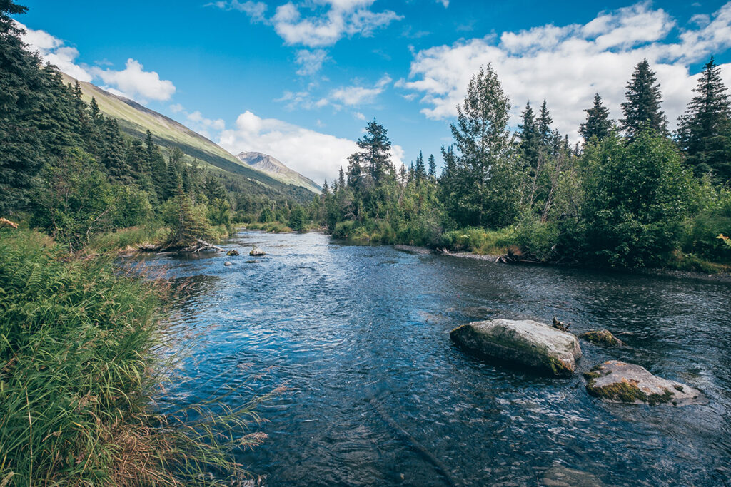 Guide to Salmon Fishing in Alaska - Westmark Hotels