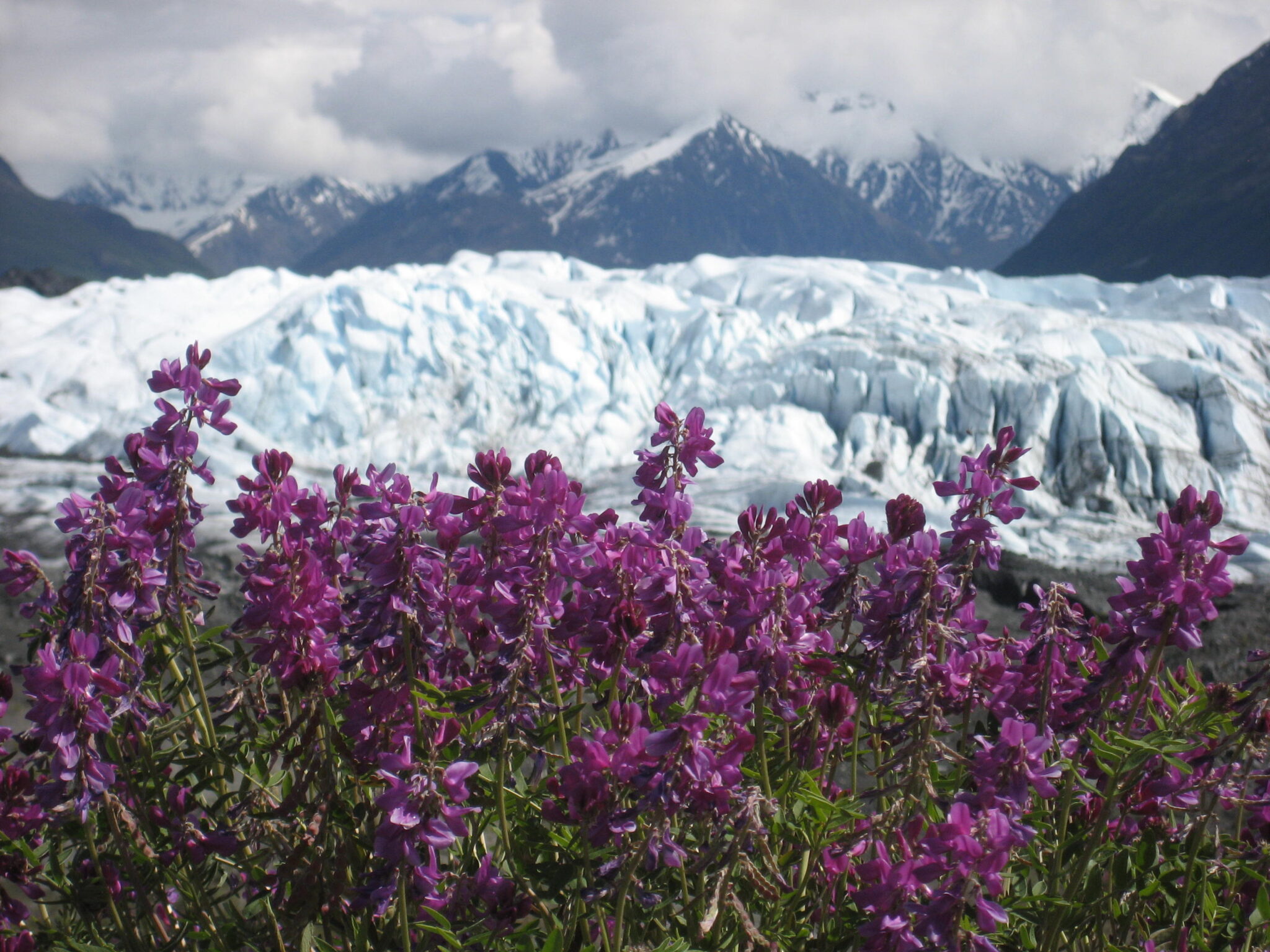 10 Best Bars in Anchorage Alaska - Westmark Hotels